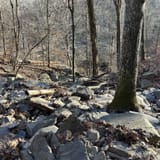 High Rocks, Pennsylvania - 2,747 Reviews, Map | AllTrails