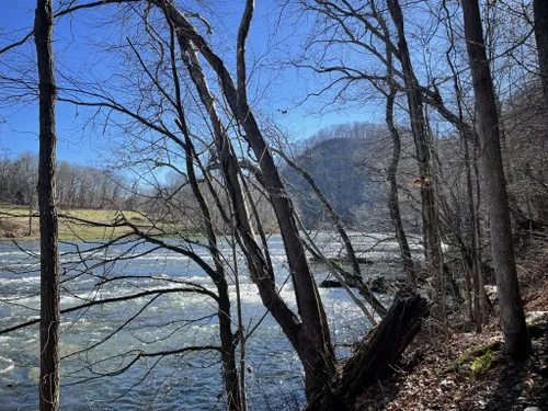 Escape To The Bluffs: Where Tennessee's Wild Side Meets The Watauga River