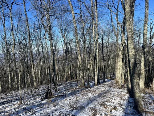 Best Backpacking Trails in Shady Valley | AllTrails