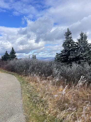 10 Best Hikes and Trails in Mount Greylock State Reservation | AllTrails