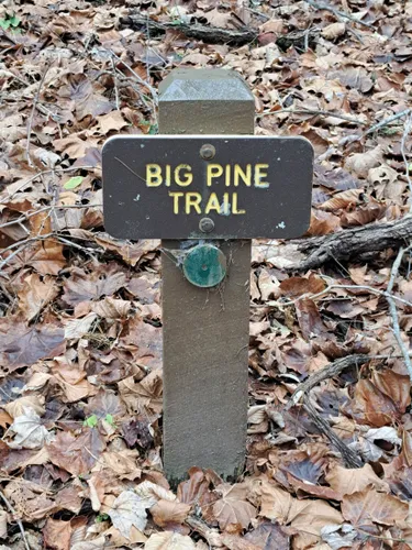 Best Hikes and Trails in Bluestone State Park | AllTrails