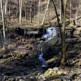 Fiery Gizzard Trail to Raven's Point, Tennessee - 1,165 Reviews, Map ...