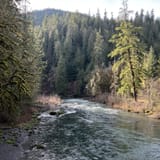Staircase Rapids Loop, Washington - 2,370 Reviews, Map | AllTrails