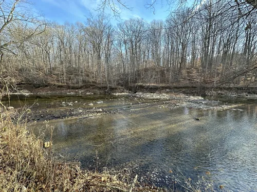 Best Hikes and Trails in Hall Woods Nature Preserve | AllTrails