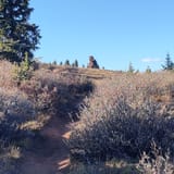 Shrine Ridge Trail, Colorado - 3,180 Reviews, Map | AllTrails