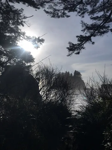 Best Hikes and Trails in La Push | AllTrails