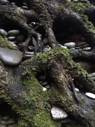 Best Hikes and Trails in La Push | AllTrails