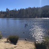 Lake Gregory Trail, California - 1,569 Reviews, Map | AllTrails