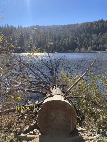 Best Hikes and Trails in Lake Gregory Regional Park | AllTrails