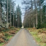 Scolty Hill, Aberdeenshire, Scotland - 102 Reviews, Map | AllTrails