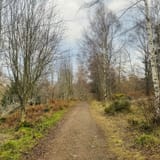 Scolty Hill, Aberdeenshire, Scotland - 102 Reviews, Map | AllTrails