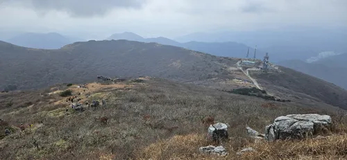 Best Hikes and Trails in Dong-gu | AllTrails