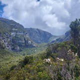 Mount Murchison Track, Tasmania, Australia - 307 Reviews, Map | AllTrails