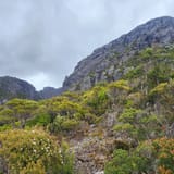 Mount Murchison Track, Tasmania, Australia - 307 Reviews, Map | AllTrails