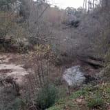 Burroughs Park Eastern Trail Loop, Texas - 799 Reviews, Map | AllTrails