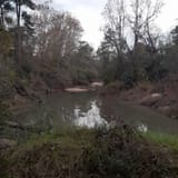 Burroughs Park Eastern Trail Loop, Texas - 799 Reviews, Map | AllTrails