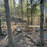 Mount Watatic, Massachusetts - 1,378 Reviews, Map | AllTrails