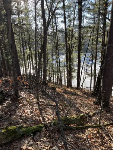 Best Hikes and Trails in Nelsonville | AllTrails