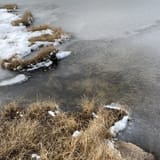 Ruth Lake Trail, Utah - 495 Reviews, Map | AllTrails