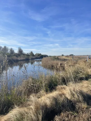 Best Hikes and Trails in Back Bay National Wildlife Refuge | AllTrails