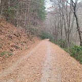 Hard Times Loop, North Carolina - 1,272 Reviews, Map | AllTrails