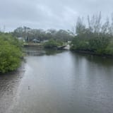 Gordon River Greenway, Florida - 927 Reviews, Map | AllTrails