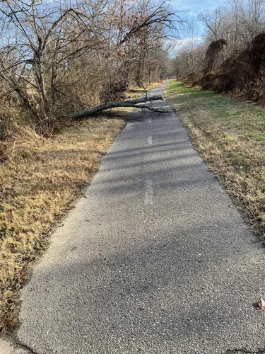 Best Hikes and Trails in Henson Creek Park | AllTrails