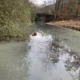 Hot Springs Sunset Trail Full Circle, Arkansas - 368 Reviews, Map ...