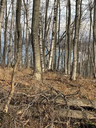 Best Hikes and Trails in Whaleback Natural Area | AllTrails