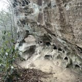 Koomer Ridge Trail, Kentucky - 625 Reviews, Map | AllTrails