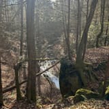 Koomer Ridge Trail, Kentucky - 625 Reviews, Map | AllTrails