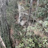 Koomer Ridge Trail, Kentucky - 625 Reviews, Map | AllTrails