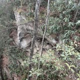 Koomer Ridge Trail, Kentucky - 625 Reviews, Map | AllTrails