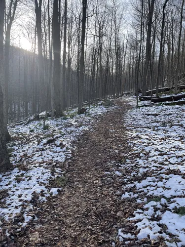 Best Hikes and Trails in Linn Run State Park | AllTrails