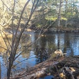 Johnson River Falls Trail, Nova Scotia, Canada - 737 Reviews, Map ...
