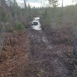 Johnson River Falls Trail, Nova Scotia, Canada - 737 Reviews, Map ...