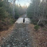 Johnson River Falls Trail, Nova Scotia, Canada - 737 Reviews, Map ...