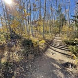 Colorado Trail: Segment 6, Colorado - 206 Reviews, Map | AllTrails