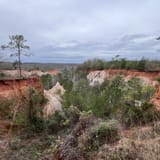 Canyon Loop Trail, Georgia - 2,084 Reviews, Map | AllTrails