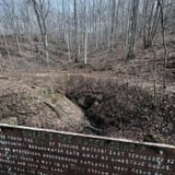 Sinking Waters Trail, Tennessee - 190 Reviews, Map | AllTrails