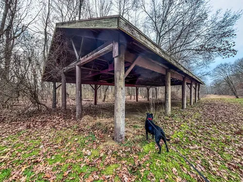 Best Walking Trails in Powder Mill Park | AllTrails