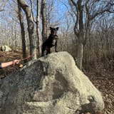 Bluff Point State Park and Coastal Reserve Trail, Connecticut - 3,383 ...