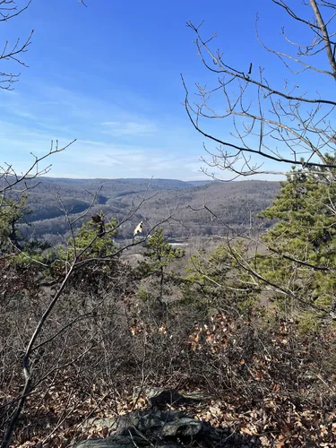 Best 10 Hiking Trails in Tekoa Mountain Wildlife Management Area ...