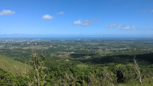 Best Moderate Trails in Walling Nature Reserve | AllTrails