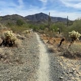 Slate Trail, Arizona - 481 Reviews, Map | AllTrails