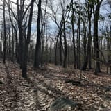 Appalachian Trail: Keys Gap to David Lesser Memorial Shelter, West ...
