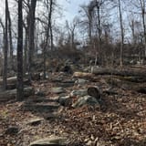 Appalachian Trail: Keys Gap to David Lesser Memorial Shelter, West ...