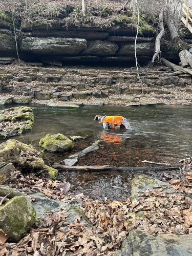 Best Hikes and Trails in Short Springs State Natural Area | AllTrails