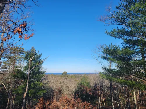 Best Hikes and Trails in Maple Swamp Conservation Area | AllTrails