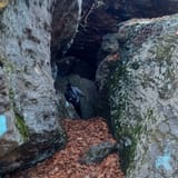 Leatherman Cave and Crane's Lookout Trail, Connecticut - 839 Reviews ...